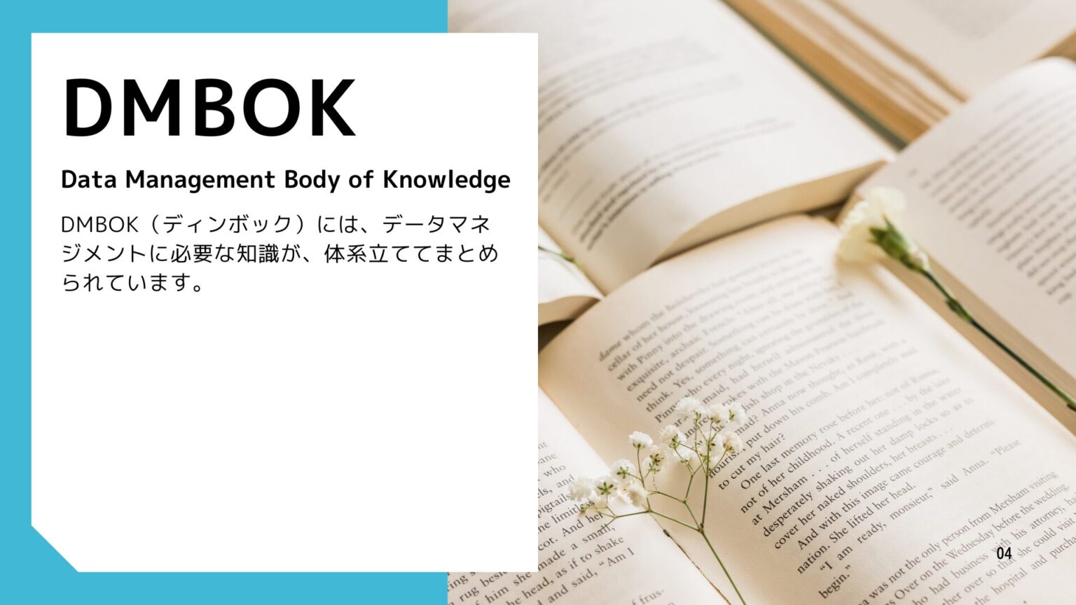 【DMBOK】11の知識領域から「データマネジメント」を理解する